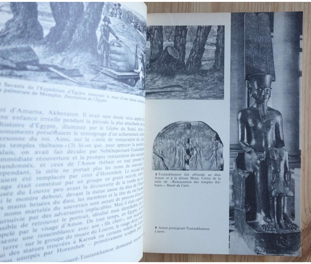 Toutankhamon, Vie et mort d'un pharaon - C.