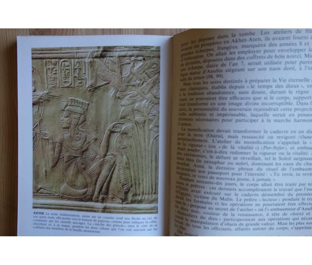 Toutankhamon, Vie et mort d'un pharaon - C.