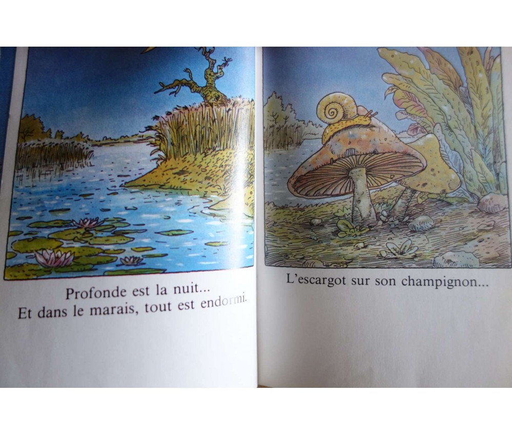 Lot Le ragondin ne dormait pas - abc zoo - le garçon qui